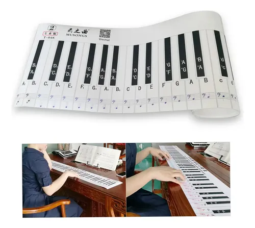 Guía Práctica De Teclado Piano 88 Teclas Para Principiantes | Cuotas ...
