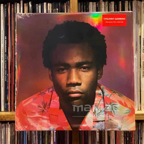 Childish Gambino Because The Internet 2 Vinilos | Envío gratis