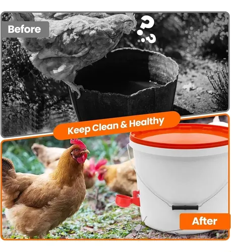 Vasos Automáticos Para Beber Y Bebederos Agua Para Aves 5pc | MercadoLibre