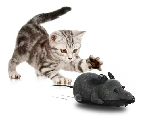 Brinquedo Para Gatos - Ratinho De Controle Remoto | MercadoLivre Brinquedo Para Gatos - Ratinho De Controle Remoto | MercadoLivre