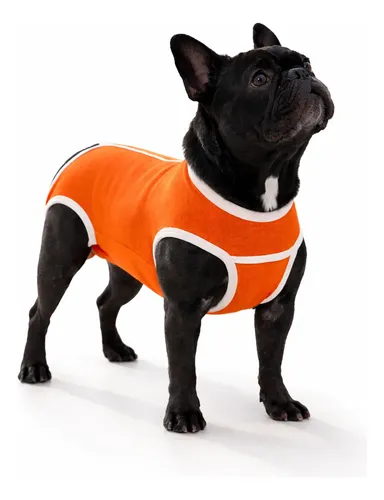 Body Post Operatorio Perros Ropa Traje Mascotas Cuidados | Cuotas sin ...