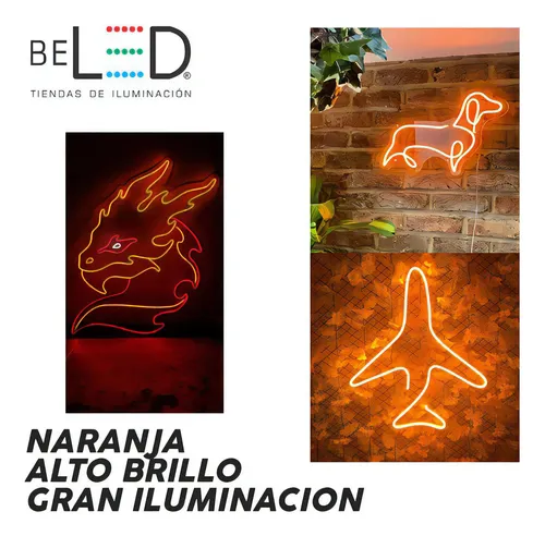 Tira Led Neon Flex 5m 12v Alto Brillo Decorativa Ip65 Color De La Luz