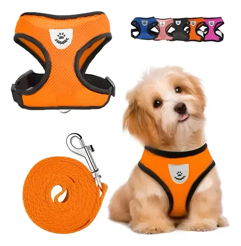Set Pechera Y Correa Ajustable Para Perros Y Gatos, Transpir | MercadoLibre