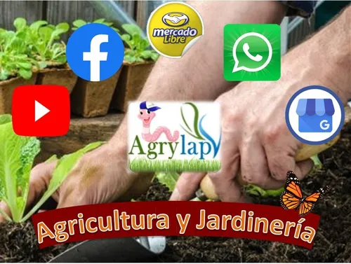K Fol 1kg Fertilizante Foliar Alto En Fósforo Y Potasio En Venta En