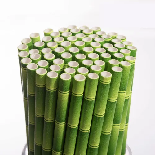 Biodegradable Paper Straws Drinking Disposable Eco Friendly Meses Sin