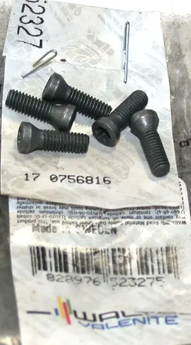 Lot Of 5 New Walter Valenite Torx Lock Screws For Val-tu Ttd | Meses ...