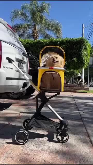 Kool Pets Carriola Para Pasear Mascotas Mod. Kp-01 Amarillo | Meses sin interés