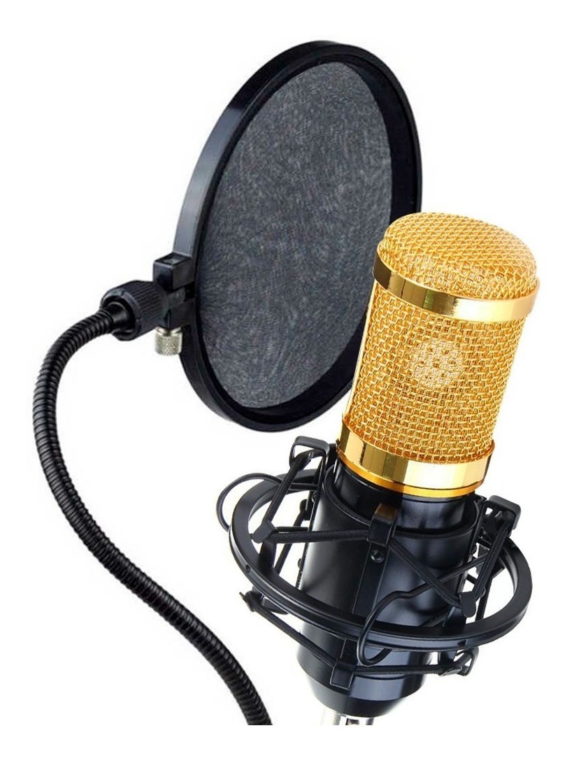 Kit Microfono Profesional Condenser Con Brazo + Fuente Phanton – Web ...