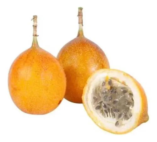 Granada China De Moco ( Planta ) Ligularis Pasionaria | Meses sin interés