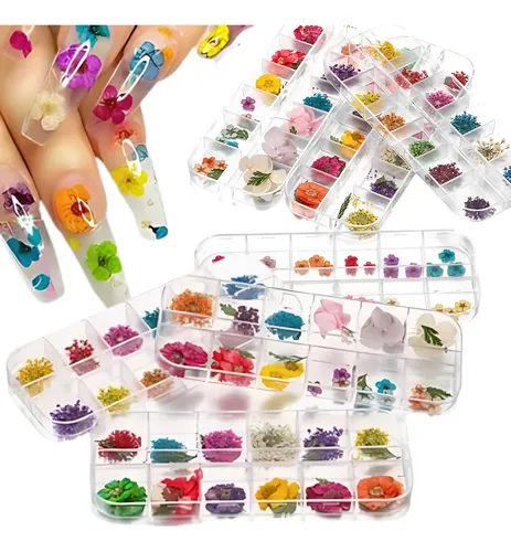 Flores Secas Para Decoração E Encapsulamento De Unhas Mercadolivre