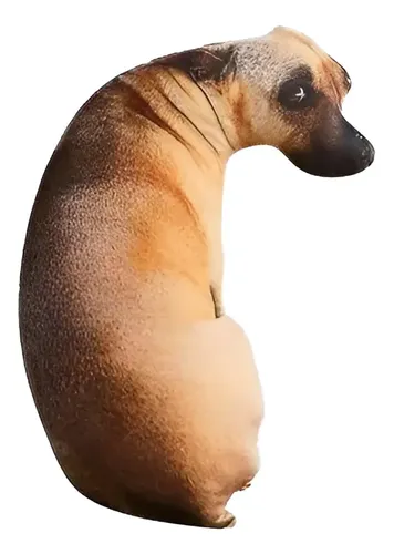 Cachorro Caramelo Almofada Vira-lata Meme 3d Pegadinha | Parcelamento ...