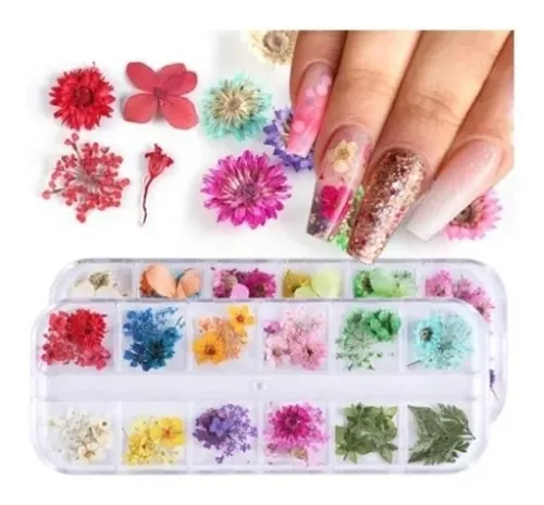 Flores Secas Encapsulamento Unhas Decoração Mercadolivre