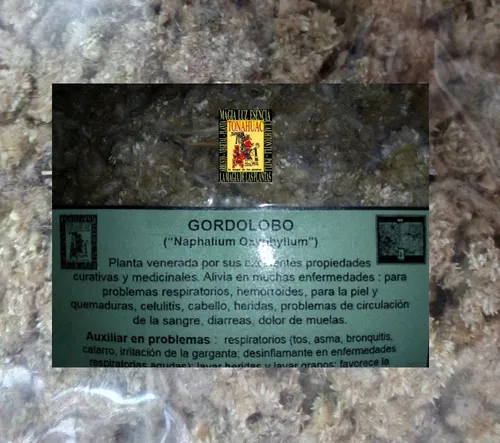 Te Gordolobo 250gr Planta Organica Seca en venta en Hermosillo Sonora ... Te Gordolobo 250gr Planta Organica Seca en venta en Hermosillo Sonora ...