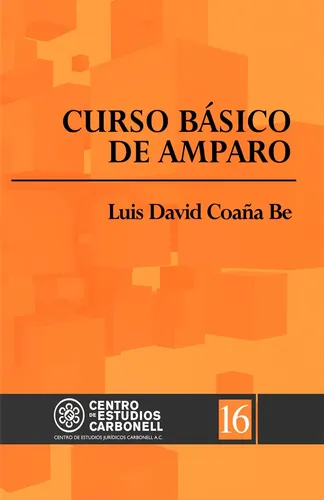 Curso Básico De Amparo | MercadoLibre Curso Básico De Amparo | MercadoLibre
