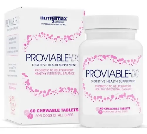 Proviable-dc Digestive Health Supplement Tabletas | Cuotas sin interés