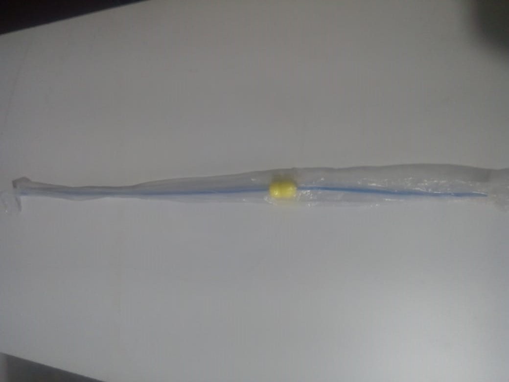 Pipeta (cateter) Para Inseminacion Artificial Porcina | MercadoLibre Pipeta (cateter) Para Inseminacion Artificial Porcina | MercadoLibre