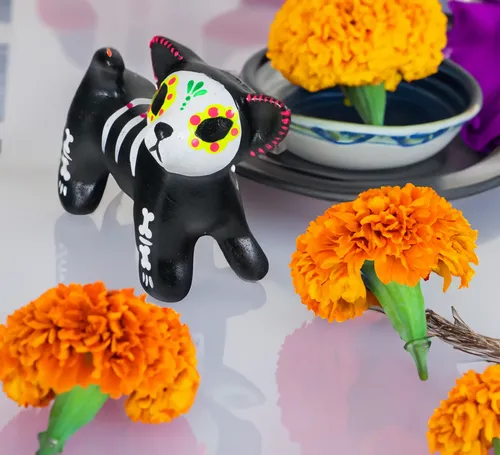 Perro Calavera Mexicana Mascota Altar Ofrenda Día De Muertos | MercadoLibre
