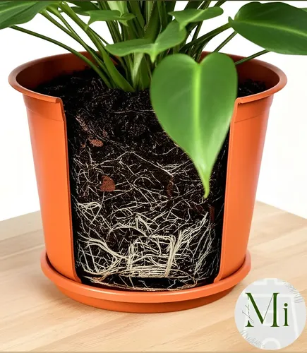 Tierra Para Jardín Compost Premium Biotierra Mulch Orgánico | MercadoLibre