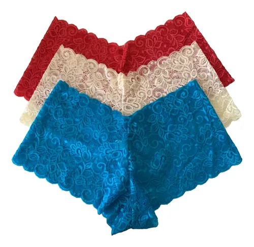 Paquete 3 Boxer Cachetero Encaje Lencería Dama | Meses sin interés
