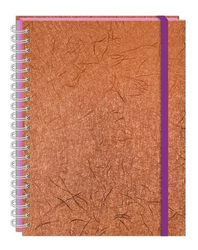 Cuaderno Profesional 100 Hojas Pasta Dura Metalic Printaform Meses