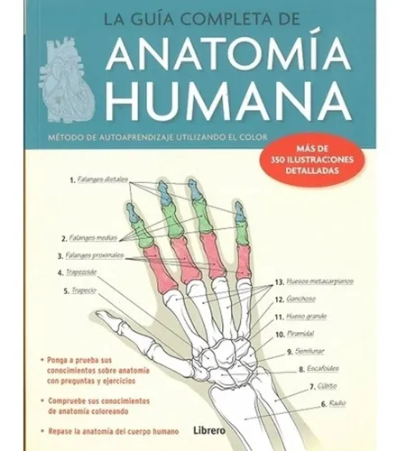 La Guia Completa Anatomia Humana | MercadoLibre La Guia Completa Anatomia Humana | MercadoLibre
