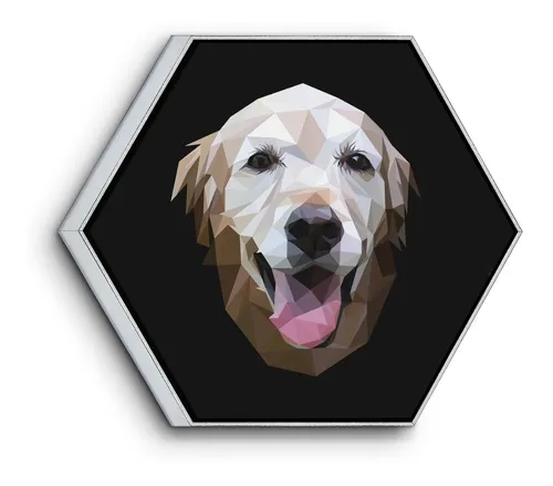Cuadro Moderno Enmarcado Hexagonal Perro Geometrico70x70cm | Envío gratis