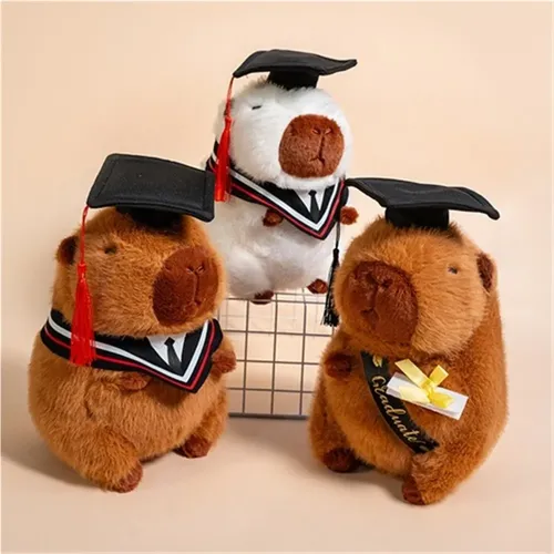 Peluche De Capibara:regalo De Graduación.peluche De Capibara | MercadoLibre