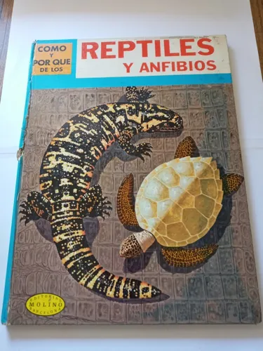 Como Y Por Que De Los Reptiles Y Anfibios Molino Como Y Por Que De Los Reptiles Y Anfibios Molino