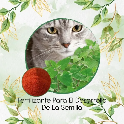 Fertilizante Para El Desarrollo De Nepeta Cataria Fertilizante Para El Desarrollo De Nepeta Cataria