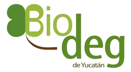 Popotes Biodegradables De Hueso De Aguacate en venta en Mérida Yucatán ... Popotes Biodegradables De Hueso De Aguacate en venta en Mérida Yucatán ...