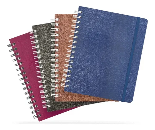 Cuaderno Profesional Ejecutiva 100h Pasta Dura 12 Pzas Envío Gratis
