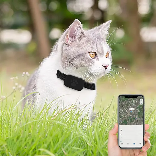 Collar Gps Para Gatos Collar Gps Para Gatitos Y Mascotas Acc | MercadoLibre