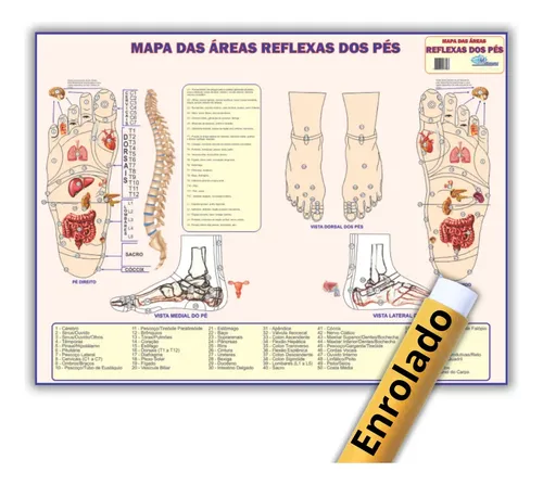 Mapa Reflexologia Dos Pés Gigante Enrolado 1,20 X 0,90m - Áreas ...