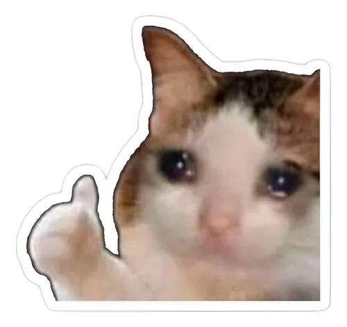 Sticker Para Carro Nuevo Vinil Gatos 6 Cm De Ancho | MercadoLibre