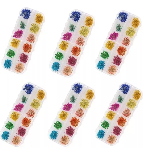 Kit 6 Flores Seca Encapsulamento Decoração Unha Atacado Nail