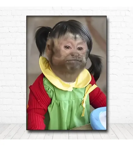 Cuadro Decorativo Meme Mono Georgie Chilindrina F2073 | Meses sin interés