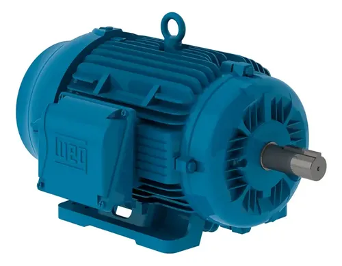 Motor Nema Trifásico Weg, 40hp 4p Estandar Armazón 3246t | Meses sin ...