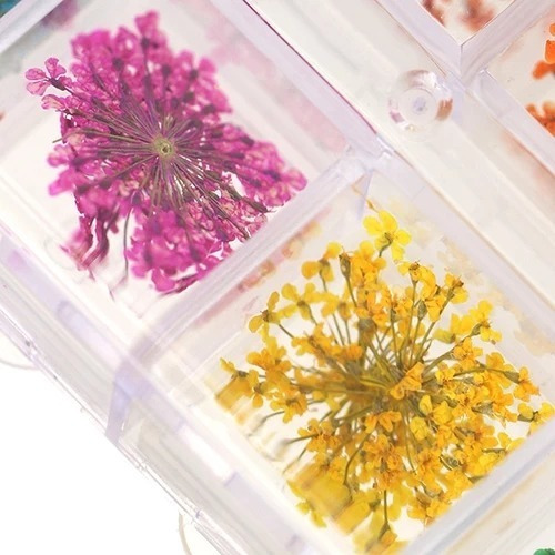 Kit 6 Flores Secas Encapsulamento Decoração Unha Atacado Frete Grátis