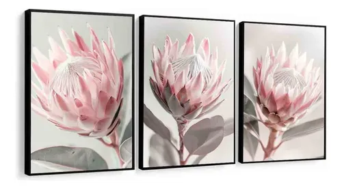 Quadros Decorativos Flor Proteas Rosa Luxo Sala Com Moldura ...