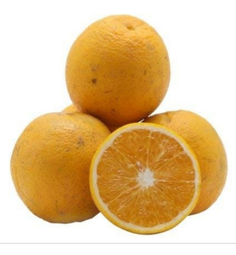 Muda De Laranja Seleta Enxertada | MercadoLivre Muda De Laranja Seleta Enxertada | MercadoLivre
