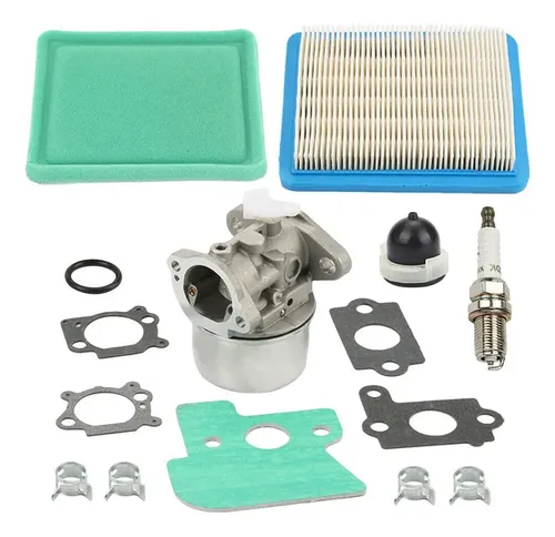 Carburador 790120 Para Briggs & Stratton 110602 110682 Carb | Envío gratis