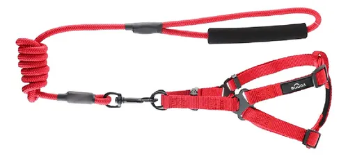 Pretal Con Correa Pechera Arnes Perros Para Paseos Talle L Pretal Con Correa Pechera Arnes Perros Para Paseos Talle L