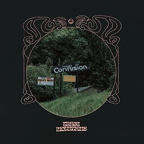 Vinilo House Of Confusion Pink Cuotas Sin Interés