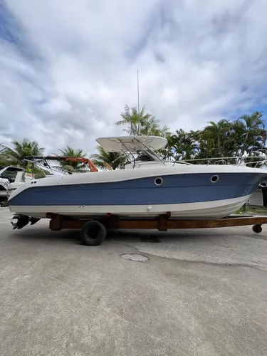Lancha 32 Pés Fishing 32 Raptor Victory Wellcrafit Florida | MercadoLivre