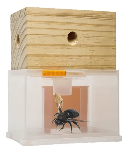 Trampas De Abejas De Madera Para Exteriores Trampa De Abejas | Envío gratis Trampas De Abejas De Madera Para Exteriores Trampa De Abejas | Envío gratis