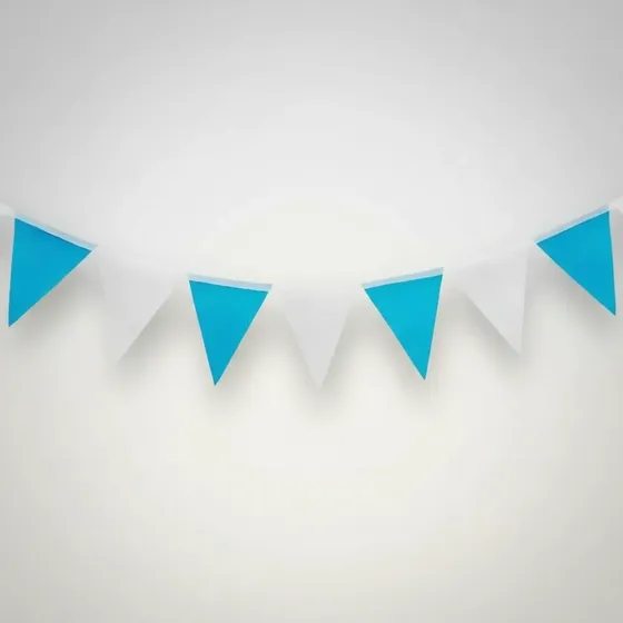 Banderines De Argentina | MercadoLibre 📦