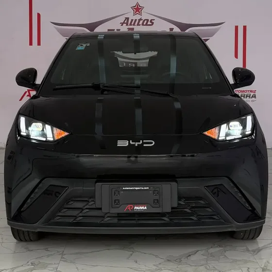 BYD Dolphin: 32 autos a partir de $300,000 MXN