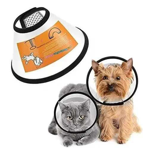 Collar Isabelino Cl | MercadoLibre 📦