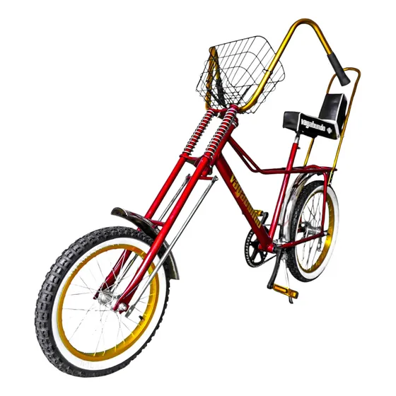 Bicicleta Vagabundo | MercadoLibre