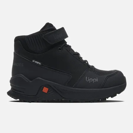 Lippi | Tienda Oficial